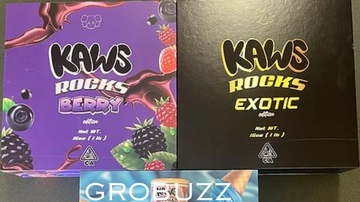 Exploring the Marvels of KAWS Rocks Moon Rocks: A Journey into Lunar ...