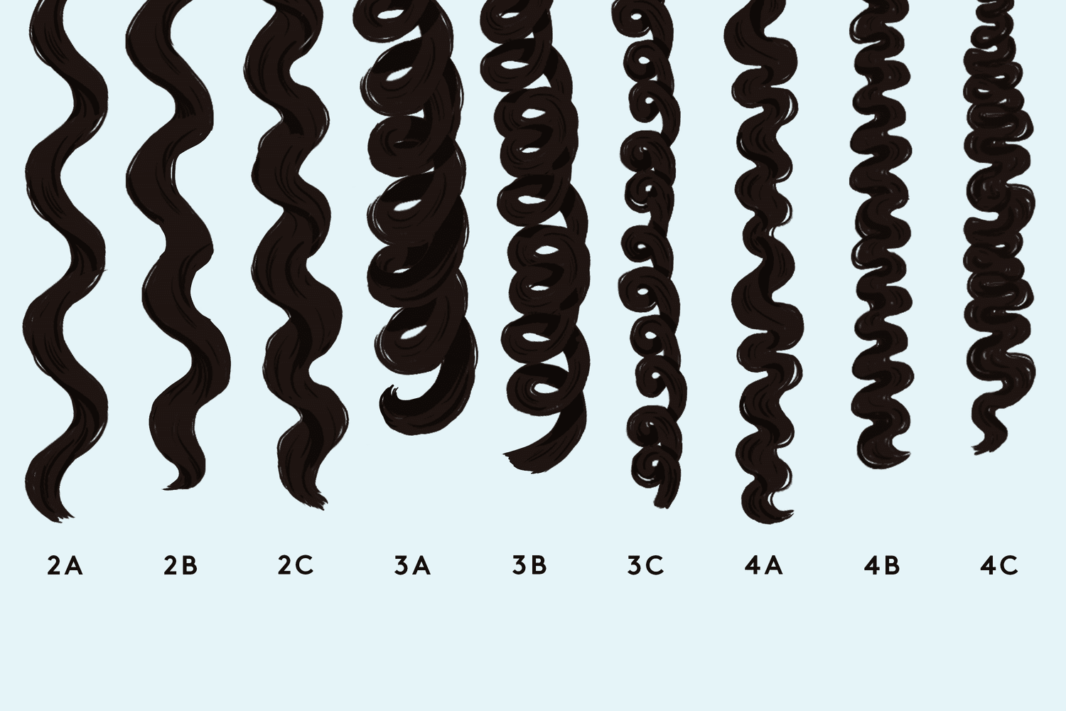 Curl Types: Discover Your Perfect Curl Pattern Today
